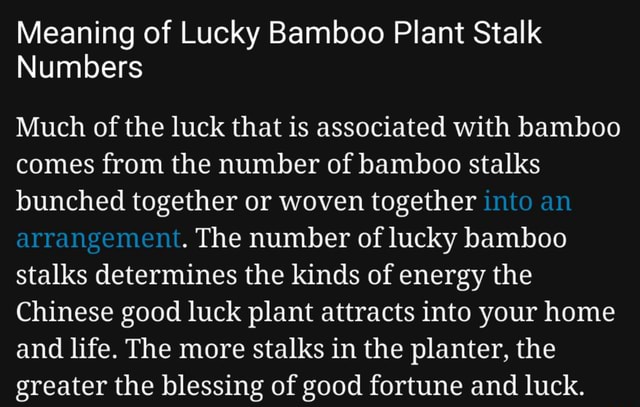 The Chinese believe that Lucky Bamboo given as a gift brings good karma ...