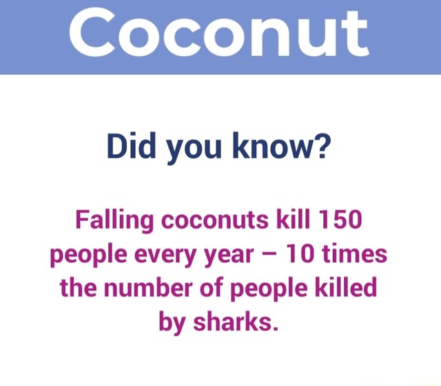 Did you know? Falling coconuts kill 150 people every year - 10 times ...