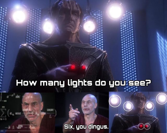 How many lights do you see? Six, you dingus. - America’s best pics and ...