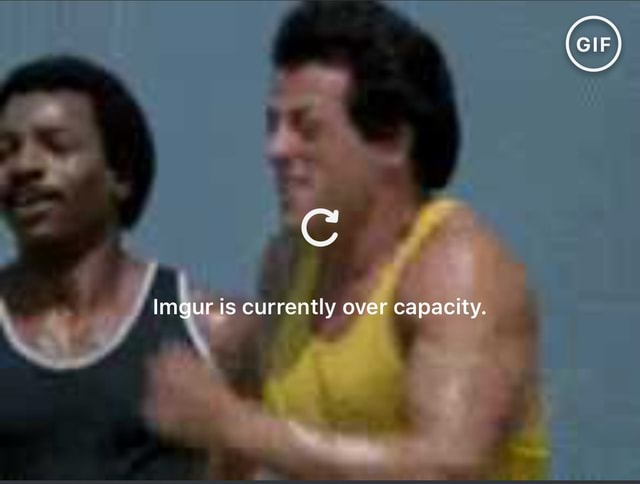 The best gif I’ve seen so far - GIF Imgur is currently over capacity ...