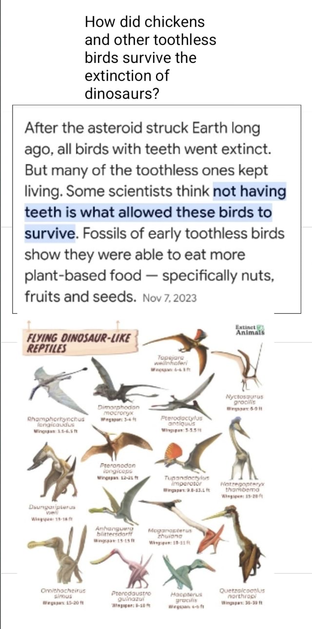 How did chickens and other toothless birds survive the extinction of dinosaurs? After the ...
