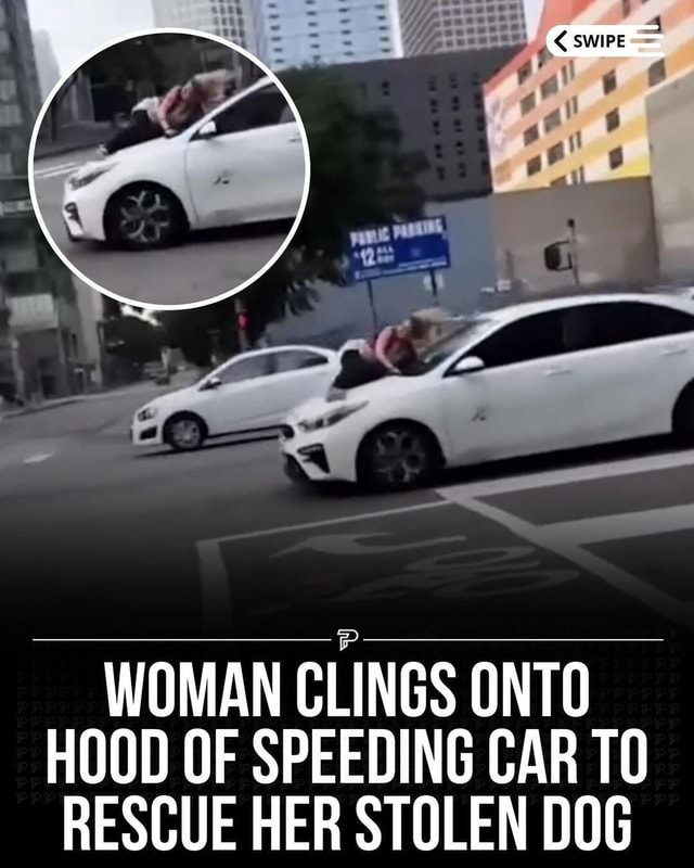 Swipe to see footage of a women in Los Angeles on the hood of a vehicle ...