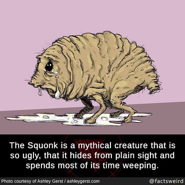 The Squonk is a mythical creature that is so ugly. that it hides from ...