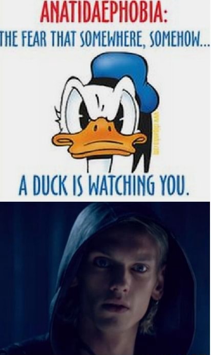 ANATIDAEPHOBIA: HE FEAR mm SOMEWHERE, summow... A DUCK IS WARNING YOU ...