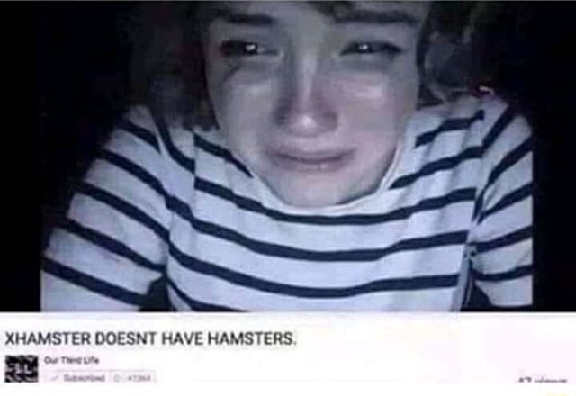 XHAMSTER DOESNT HAVE HAMSTERS. - iFunny