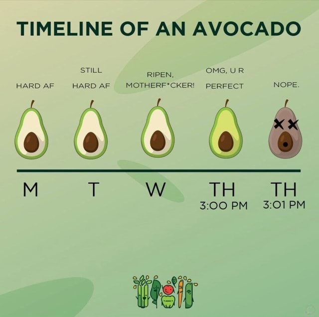 TIMELINE OF AN AVOCADO STILL RIPEN. OMG. UR HARD AF HARD AF ER! PERFECT ...