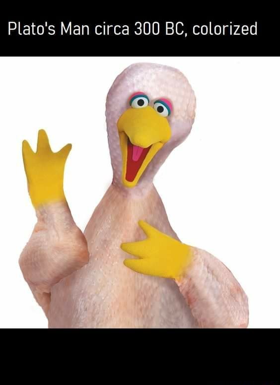 Plato's Man circa 300 BC, colorized - iFunny