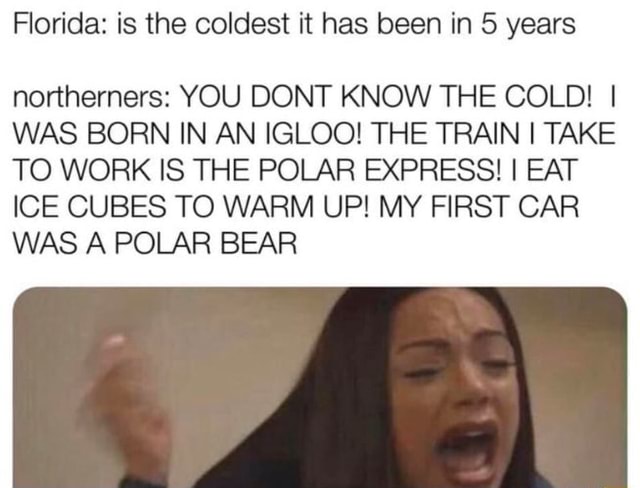 Florida: is the coldest it has been in 5 years northerners: YOU DONT ...