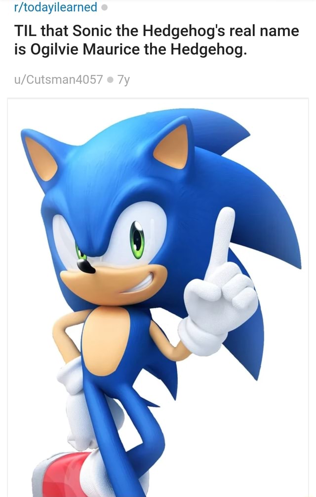 R/todayilearned TIL that Sonic the Hedgehog's real name is Ogilvie ...
