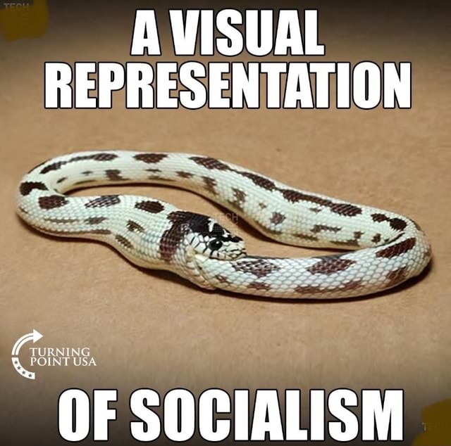 A VISUAL REPRESENTATION am Usa OF SOCIALISM - America’s best pics and ...