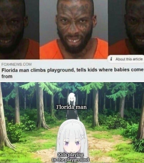 Florida man climbs playground, tells kids where babies come from rida ...