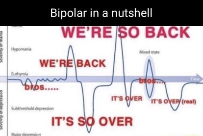 Bipolar in a nutshell WE'RE SO BACK WE RE BACK beos ~ IT'S SO OVER - iFunny