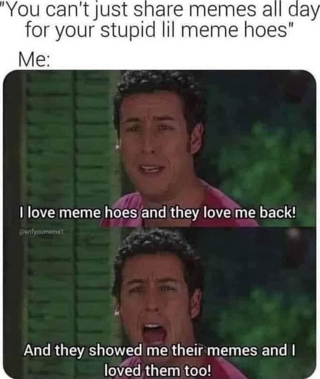"You can't just share memes all da for your stupid lil meme hoes" Me: I ...