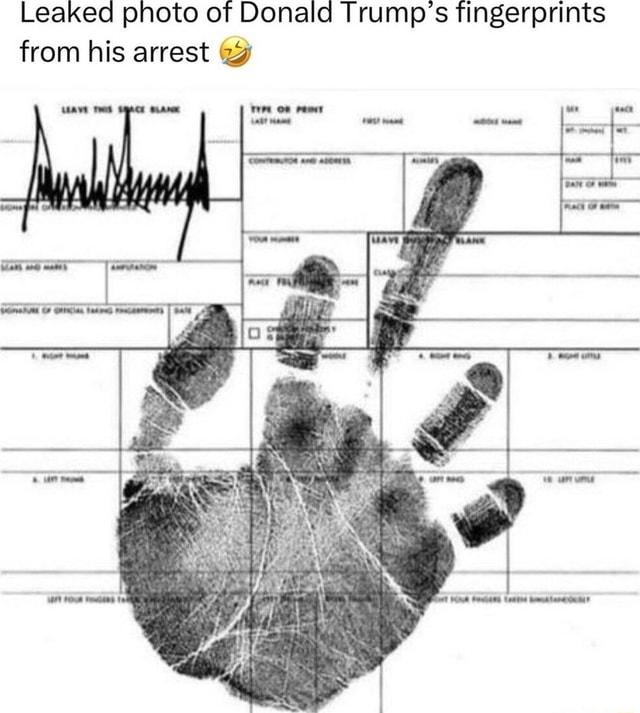 Leaked photo of Donald Trump's fingerprints from his arrest Co I - iFunny