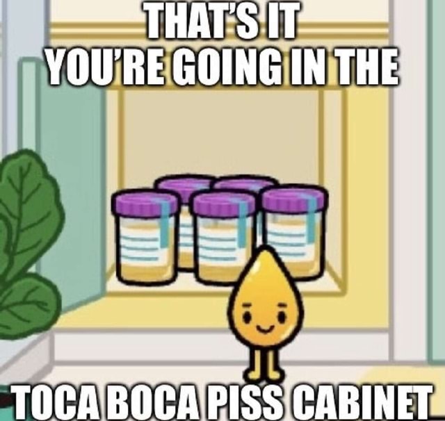THATS IT YOU'RE GOING IN THE TOCA BOCA PISS CABINET - iFunny