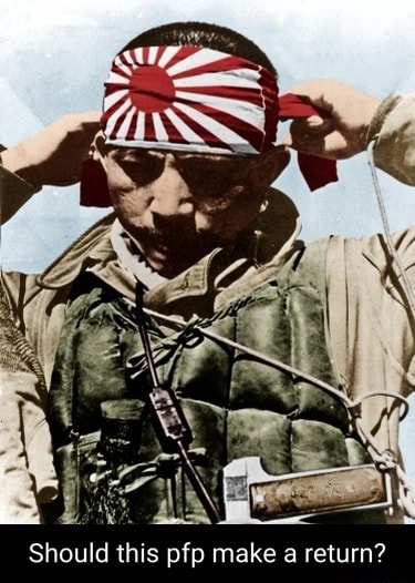 Should this pfp make a return? - iFunny