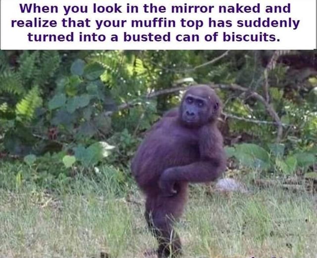 When you look in the mirror naked and realize that your muffin top has ...