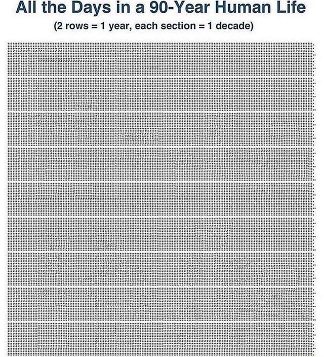 All the Days in a 90-Year Human Life (2 rows = 1 year, each section = 1 ...