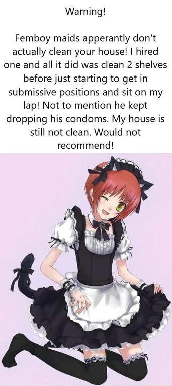 Femboy maid review_irl - Warning! Femboy maids apperantly don't actually clean your house! I ...