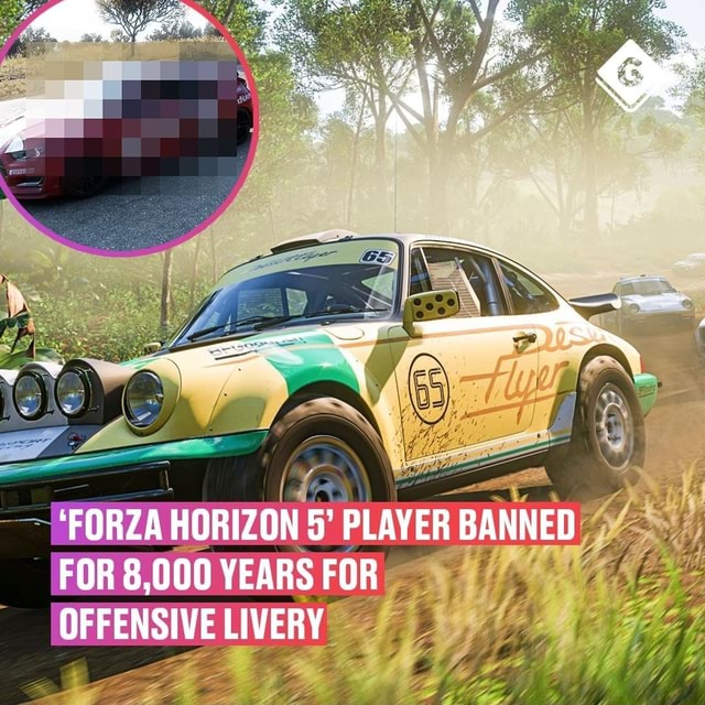 'FORZA HORIZON 5' PLAYER BANNED FOR 8,000 YEARS FOR OFFENSIVE LIVERY ...