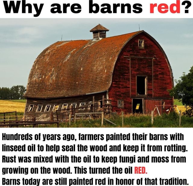 Why are Darns rea? Hundreds of years ago, farmers painted their barns ...