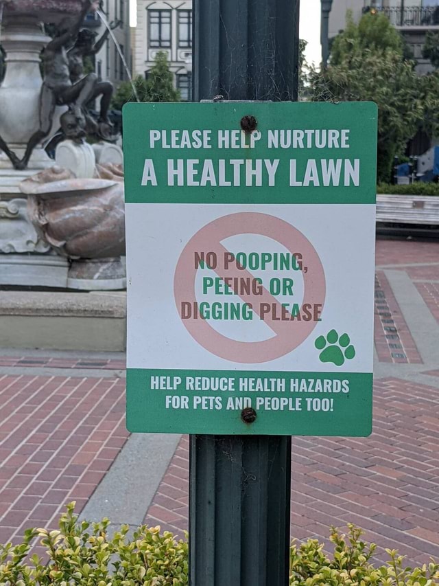 PLEASE HELP NURTURE I A HEALTHY LAWN NO POOPING, PEEING OR DIGGING ...