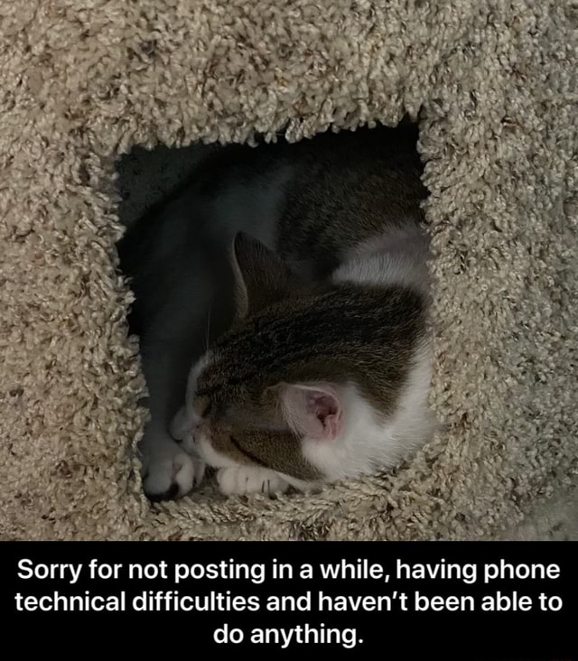 Sorry for not posting in a while, having phone technical difficulties ...