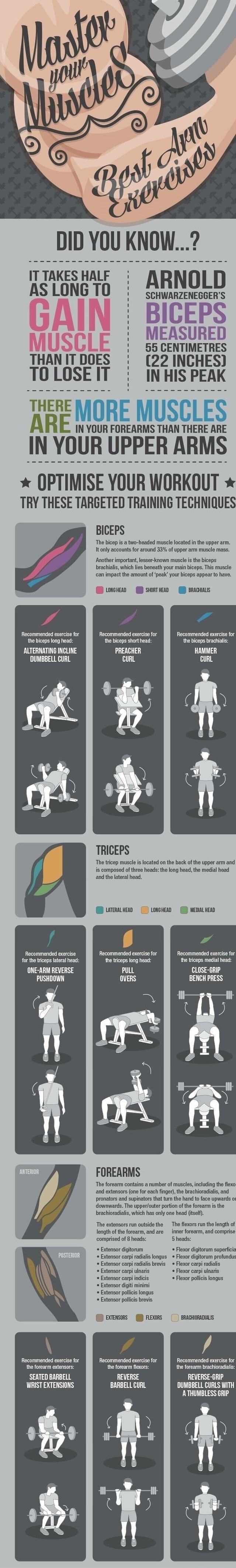 DID YOU KNOW...? MUSCLE THAN IT DOES TO LOSE IT IT TAKES HALF AS LONG ...