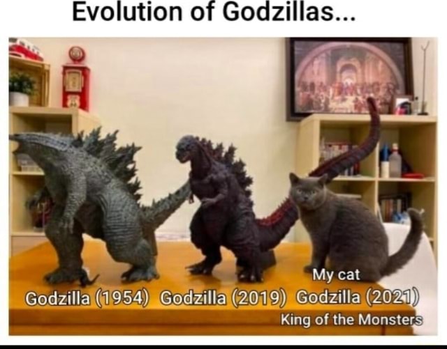 Evolution of Godzillas... My cat Godzilla Cadzilla 'Godzilla King of ...