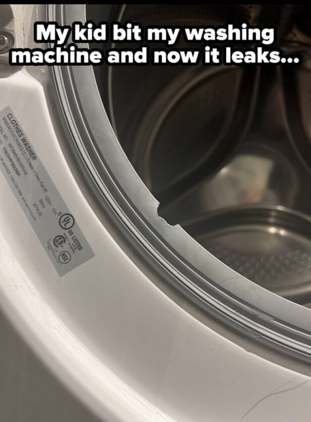 Ll My kid bit my washing machine and now it leaks... - iFunny
