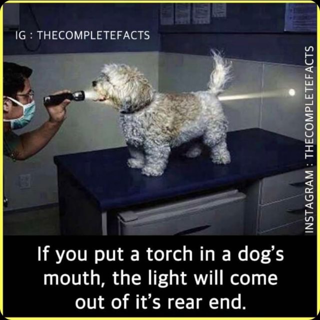 IG THECOMPLETEFACTS INSTAGRAM ww THECOMPLETEFA If you put a torch ina ...