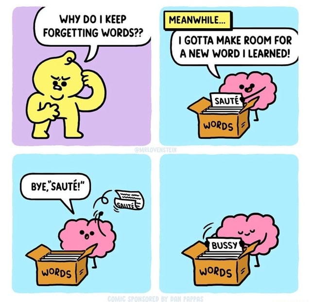 WHY DO I KEEP FORGETTING WORDS?? I GOTTA MAKE ROOM FOR ANEW WORD I LEARNED! BYE, SAUTE!" - iFunny