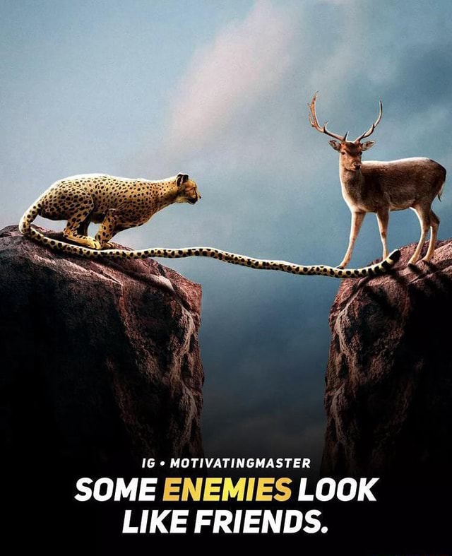 MOTIVATINGMASTER SOME ENEMIES LOOK LIKE FRIENDS. - iFunny