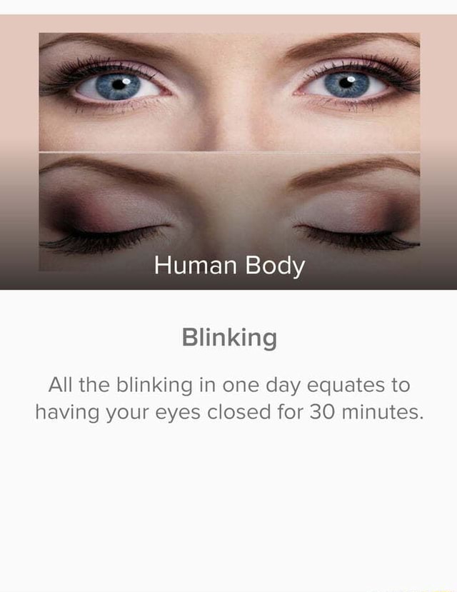 Human Body Blinking All the blinking in one day equates to having your ...