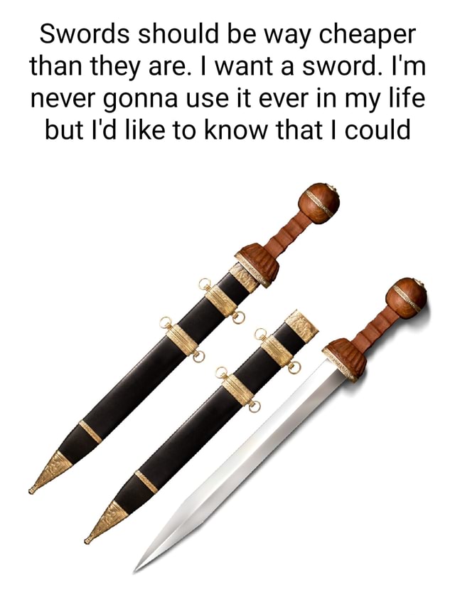 Swords should be way cheaper than they are. I want a sword. I'm never ...