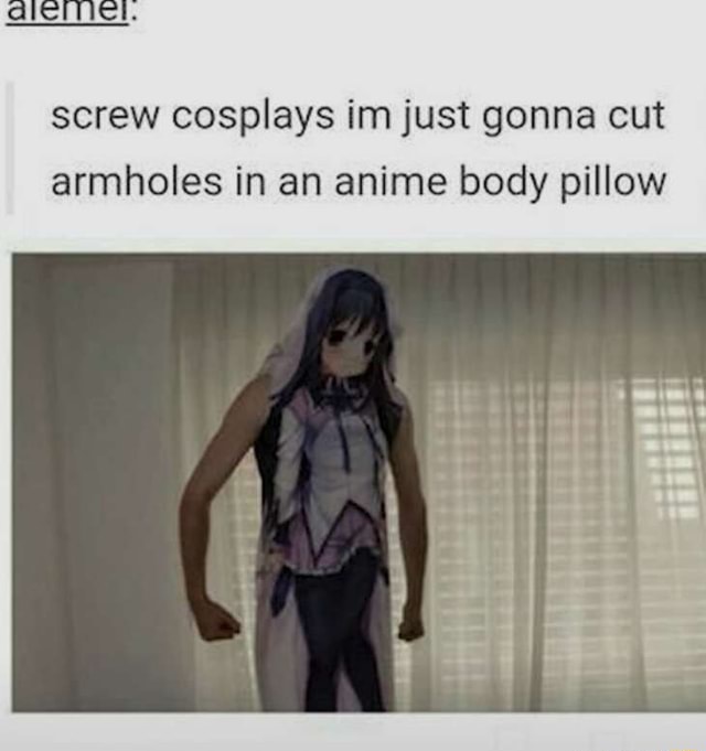 Screw cosplays im just gonna cut armholes in an anime body pillow - iFunny