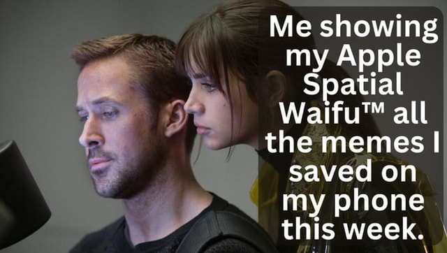 Me showing my Apple Spatial all the memes I saved on my phone this week ...