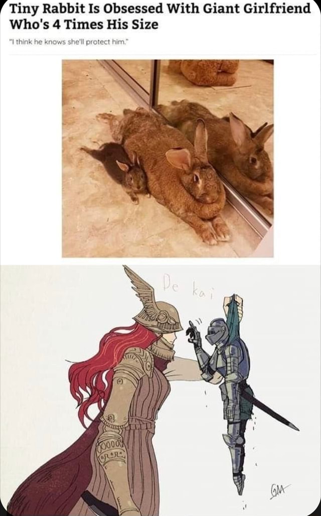 Tiny Rabbit Is Obsessed With Giant Girlfriend ' Who's 4 Times His Size ...