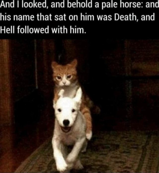 And I looked, and behold a pale norse: and his name that sat on him was ...