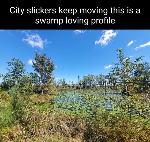 City slickers keep moving this is a swamp loving profile - iFunny