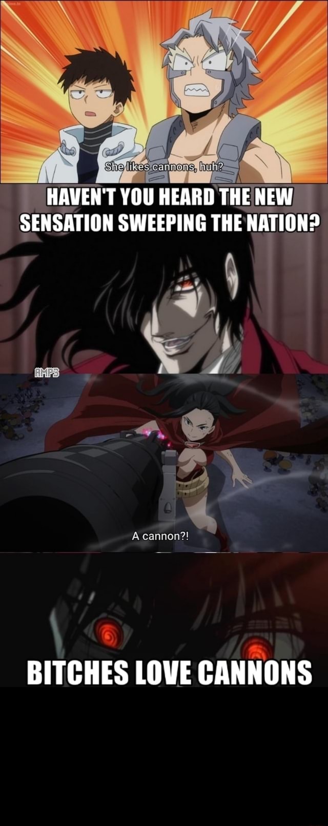 HAVEN'T YOU HEARD THE NEW SENSATION SWEEPING THE NATION? cannon ...