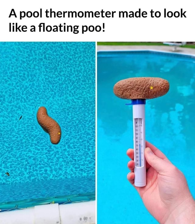 A\ pool thermometer made to look like a floating poo! fF rc 80 - iFunny