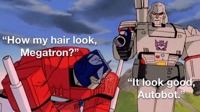 "How my hair look, Megatron?" "It look good, Autobot." - America’s best ...