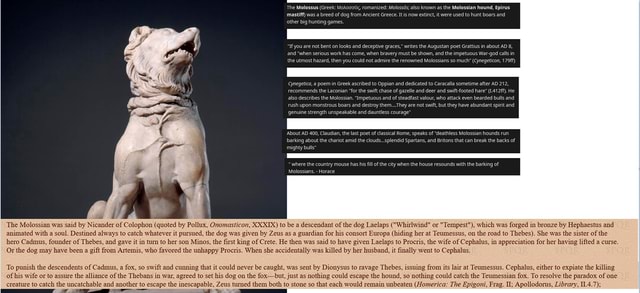 The Molossus (Greek: Mohoga6c, romanized: Moloss6s; also known as the ...