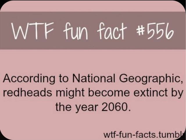 WTF fun fact According to National Geographic, redheads might become ...