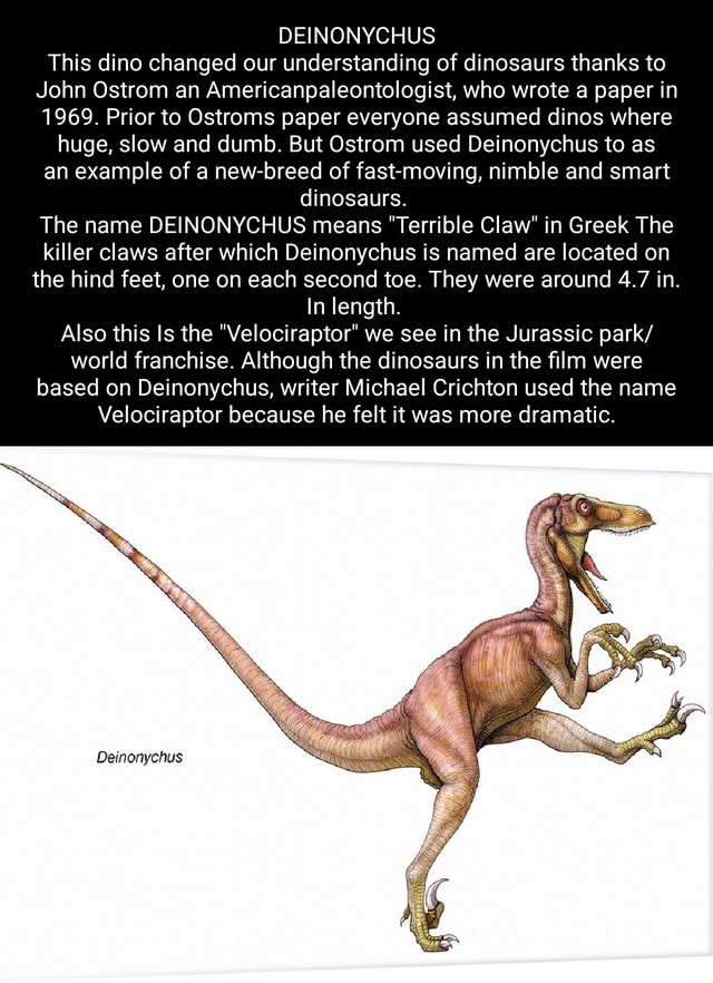 DEINONYCHUS This dino changed our understanding of dinosaurs thanks to John Ostrom an ...