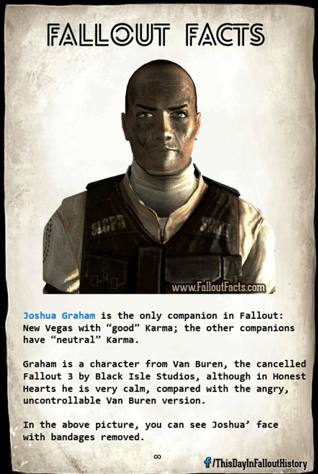 What does karma do in fallout new vegas - doggynex