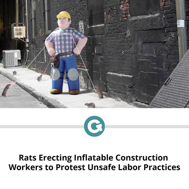 Rats Erecting Inflatable Construction Workers to Protest Unsafe Labor ...