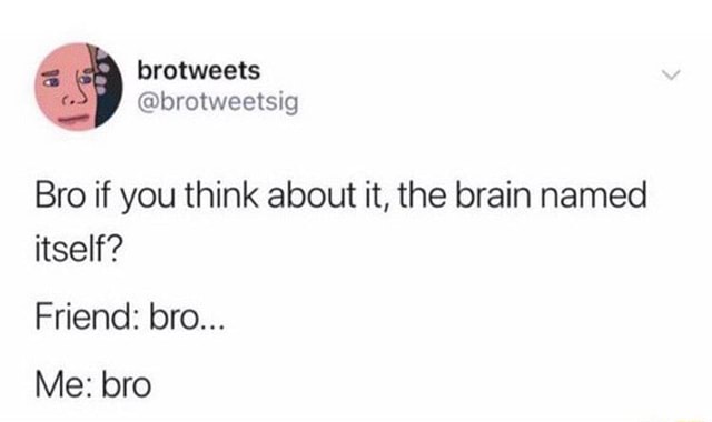 @brotweetsig Bro if you think about it, the brain named itself? Friend ...