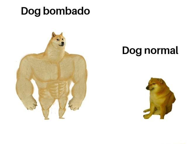 Dog bombado Dog normal - iFunny Brazil